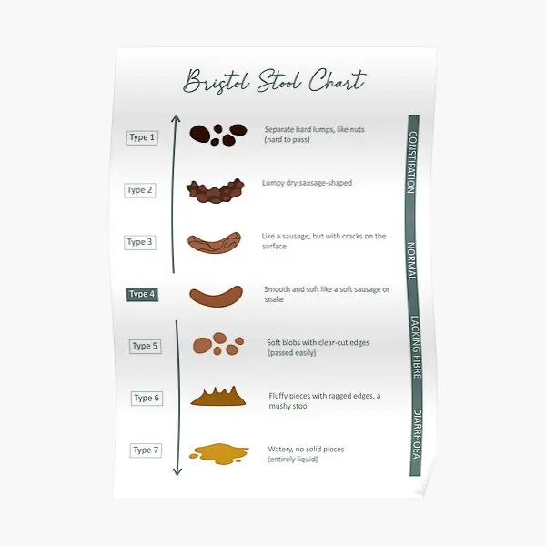 Bristol-Stool-Chart-Green-Poster-Painting-Wall-Room-Home-Picture-Mural ...