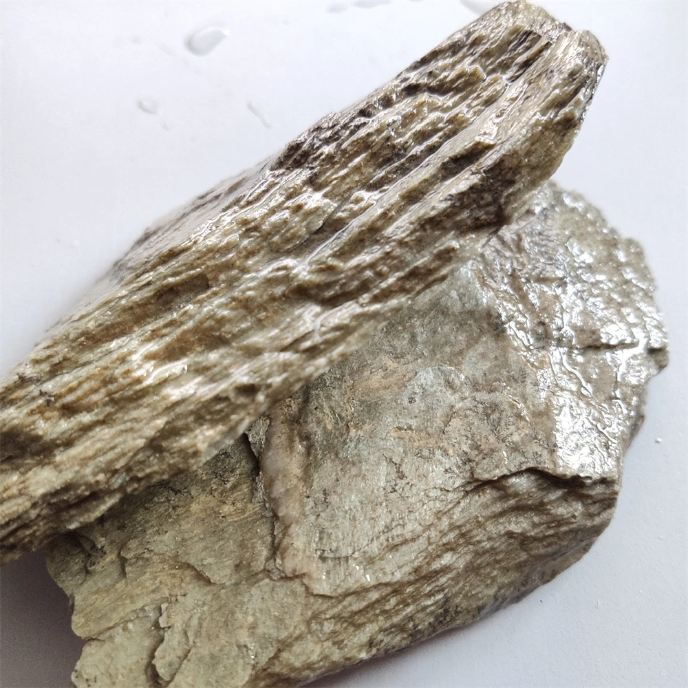 Metamorphic Rock Phyllite