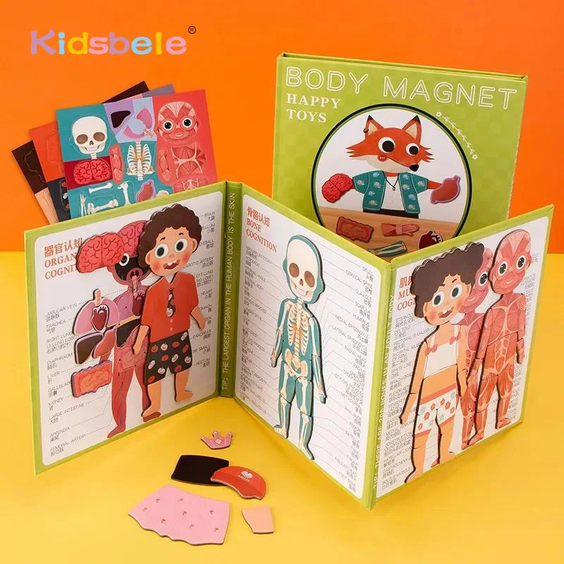 Magnetic-Human-Body-Puzzle-Children-s-Early-Educational-Toys ...