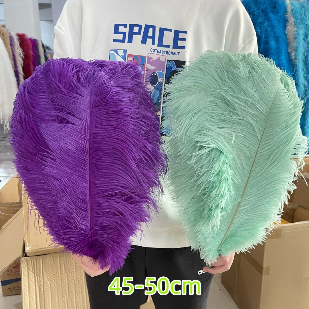 10Pcs Natural Ostrich Feathers 15-60cm White Long Ostrich Feather for ...