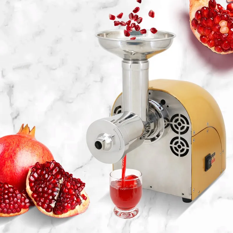304-Stainless-Stee-Slow-Masticating-Auger-Juicer-Fruit-and-Vegetable ...
