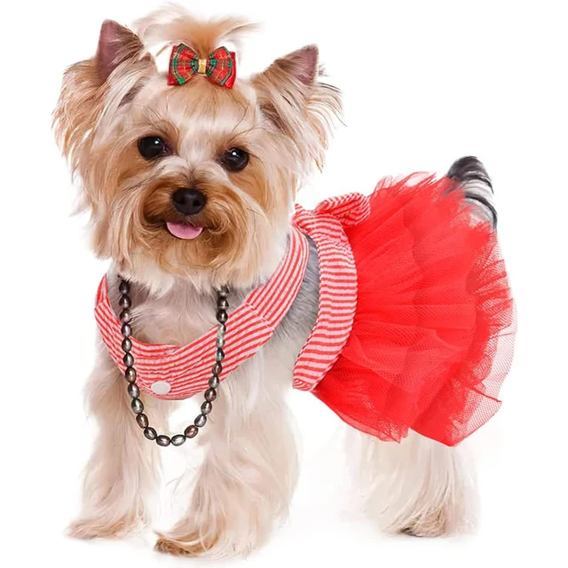 Yorkie Clothes For Females Wholesale Shop | www.pinnaxis.com