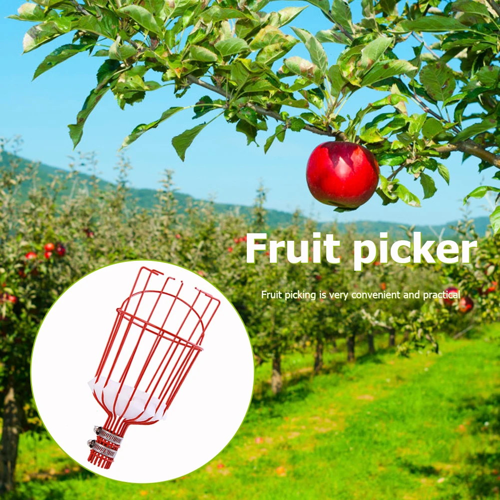 Detachable-Fruit-Picker-Low-Carbon-Steel-Wire-Greenhouse-Orange ...