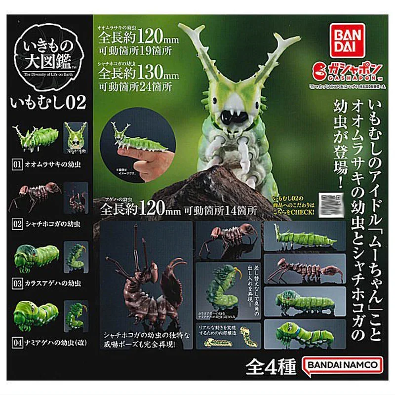 In-Stock-Bandai-Japanese-Gashapon-Egg-Big-Biological-Map-Of-Worm-Insect ...