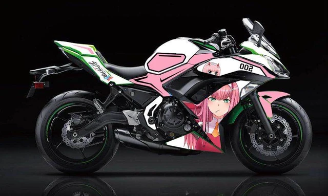 Customized Ninja Motorcycle