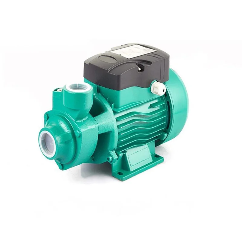 Pompe à eau à moteur brossé, surpresseur, haute levée, grand débit, batterie solaire, auto ...