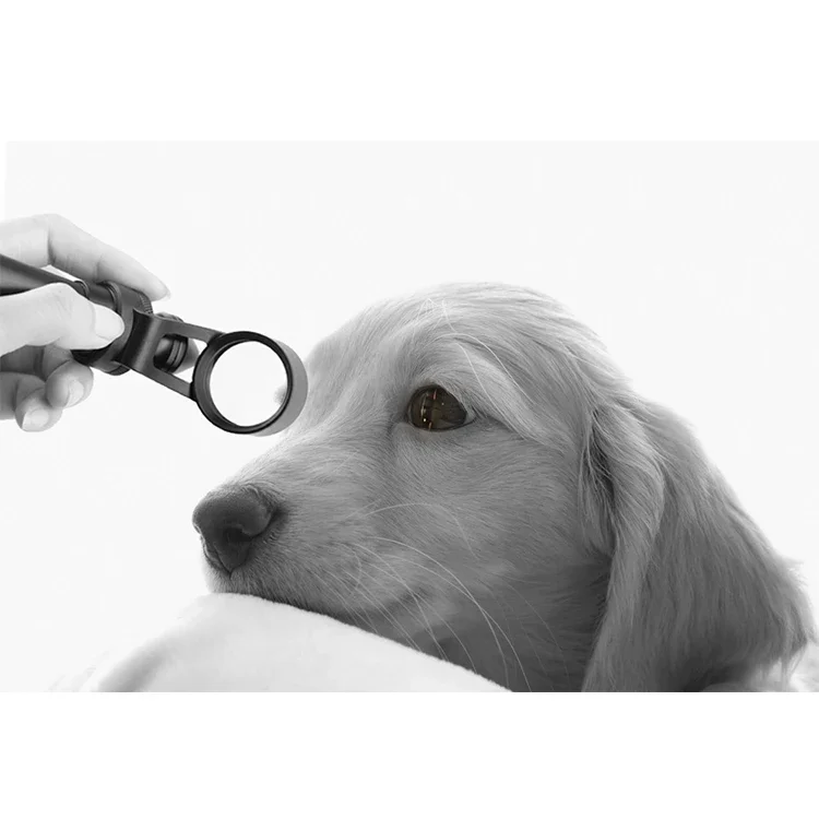 Vet Eye Examination Pen Slit Lamps Mini Handheld Veterinary Slit Lamp ...