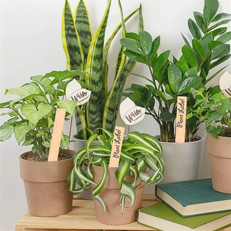 Wooden-Plant-Markers-Waterproof-Pointed-Wooden-Plant-Sign-Tags-Garden ...