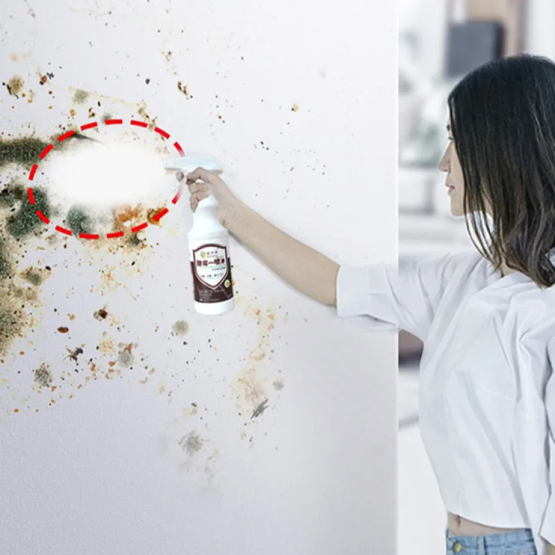Powerful-Wall-Mold-Remover-Wall-Cleaning-Spray-Mildew-Remover-Jelly ...