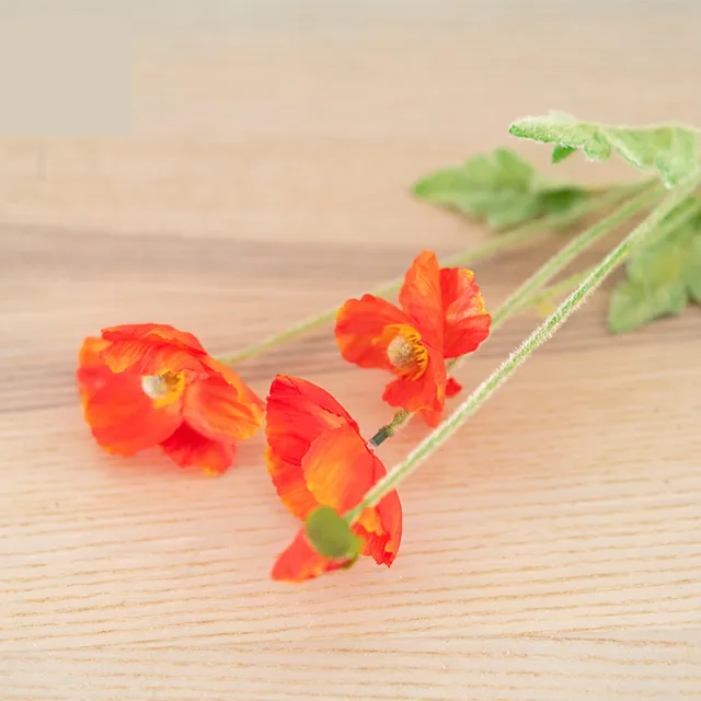 Store Home Products Cyber Monday Top Selling New Arrivals Feedback ...