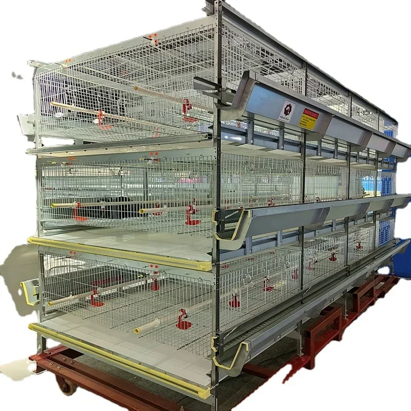 Design-Commercial-Broiler-Chicken-Cages-For-Sale-Chicken-Meat-Broiler ...