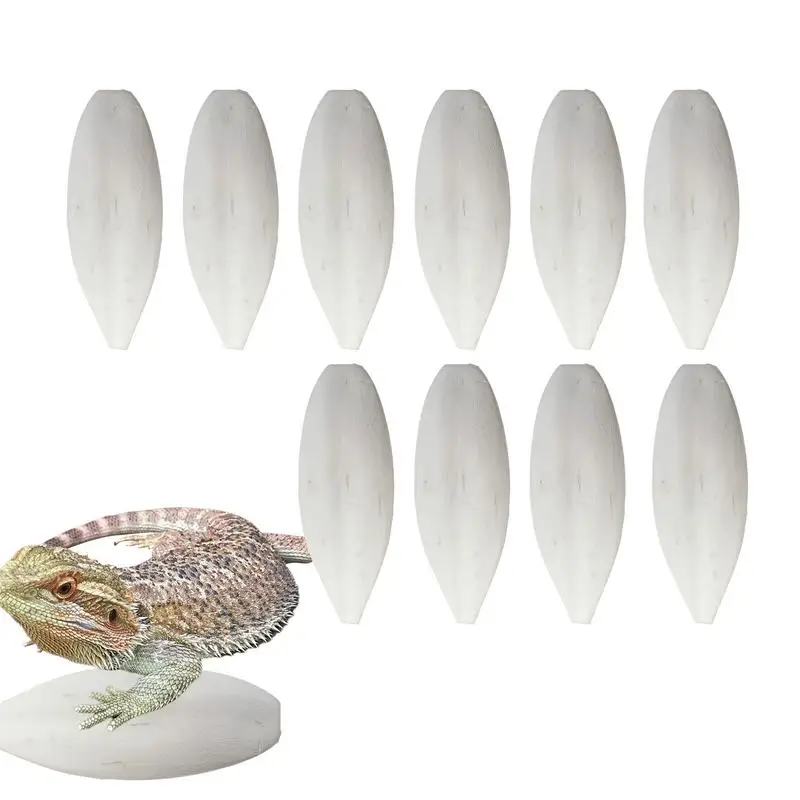 Parakeet-Cuttlebone-10pcs-Cuttlefish-Bone-Chew-Toy-Cuttlebone-For ...