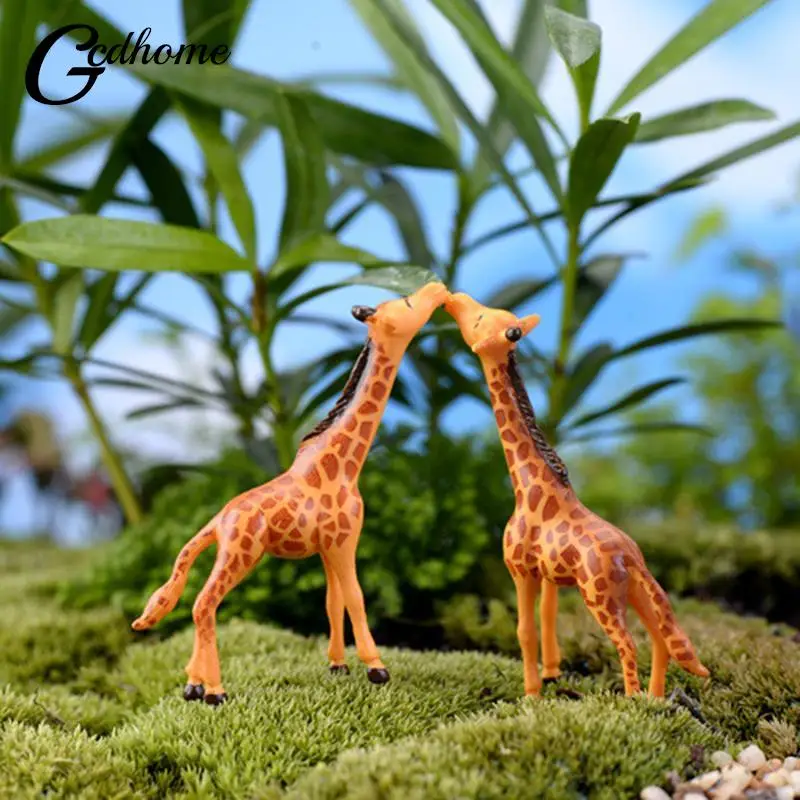 Dwarf Giraffe