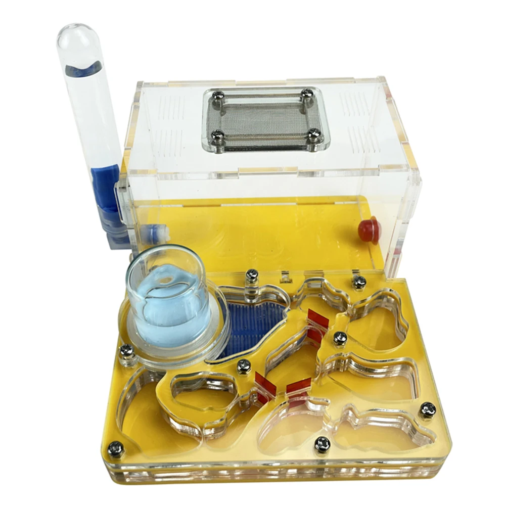 DIY Acryl Ant Farm Flat Ant Nest Ant House for Pet Anthill Glass ...