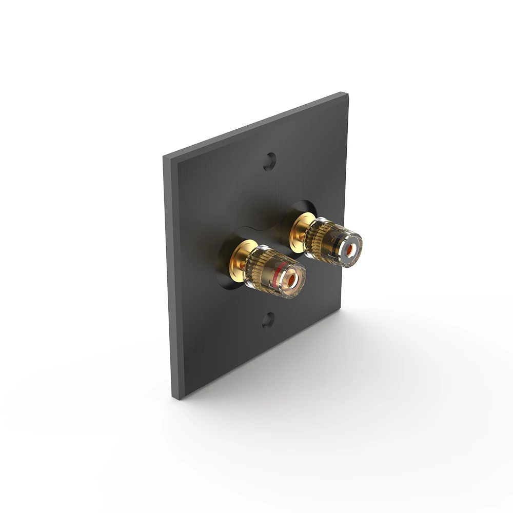 2holes Post-Panneau de bornes audio pour haut-parleur, poste de liaison ...
