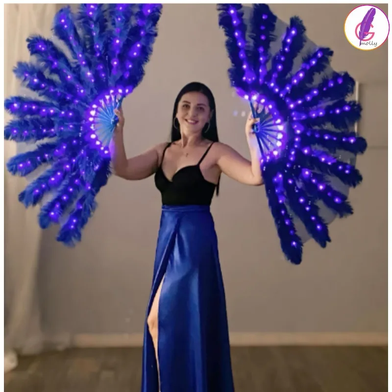 Customizable-feather-fan-LED-Glowing-feather-fan-costume-dancing ...