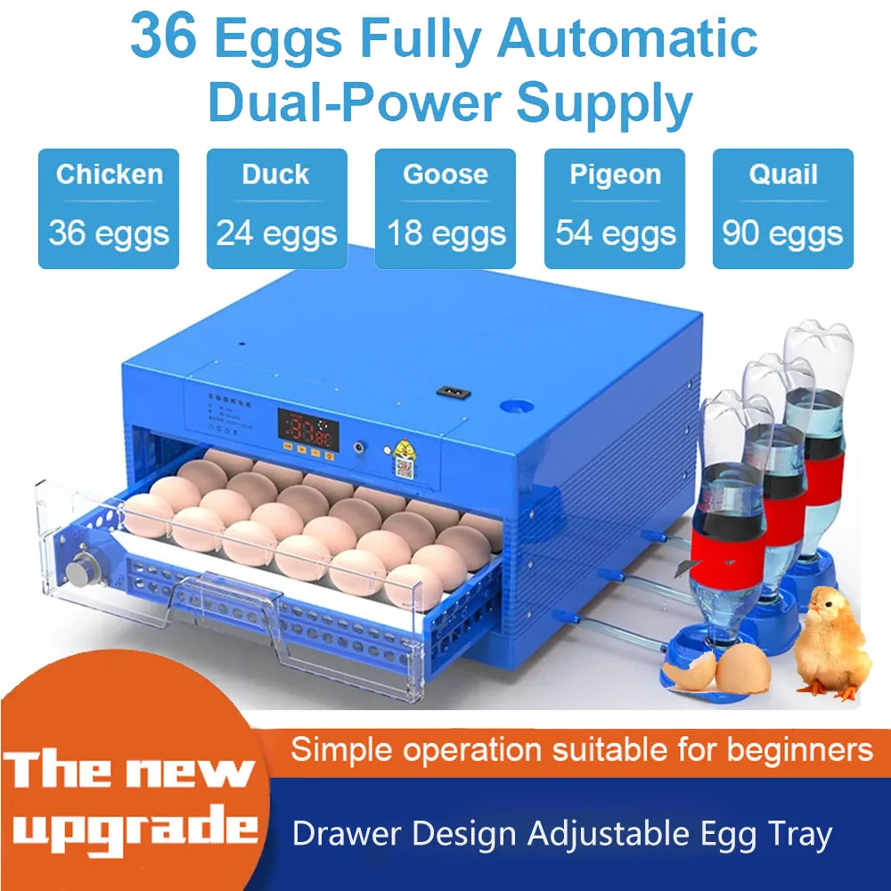 Mini Egg Incubator with Drawer Type, Automatic Water Incubator, Ionic ...
