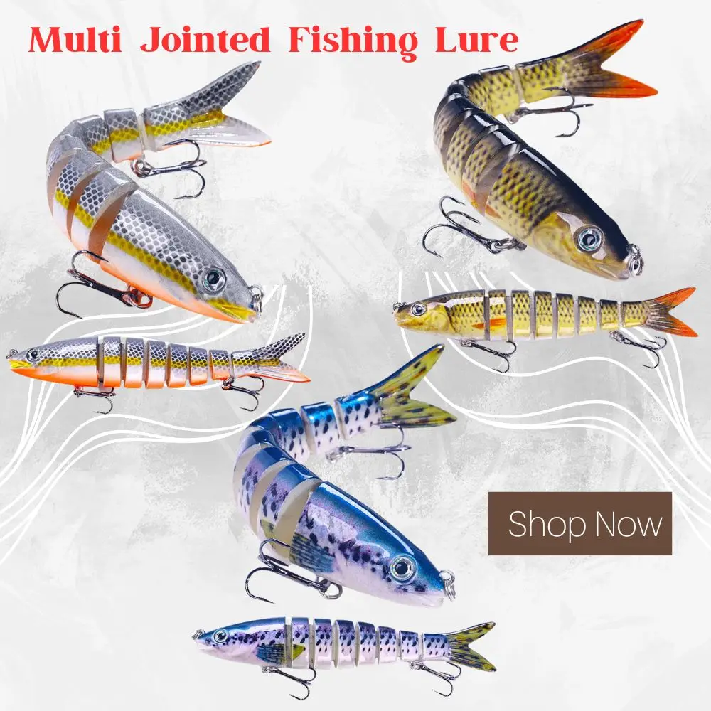 Multi Jointed Fishing Lure Slow Sinking Bionic Segmented Bait 13.4cm/18 ...