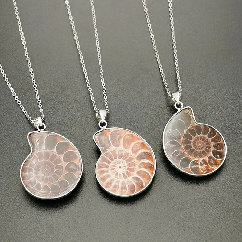 Fossil Charm Necklace Natural Ammonite Fossil Pendant - Seashell Snail ...