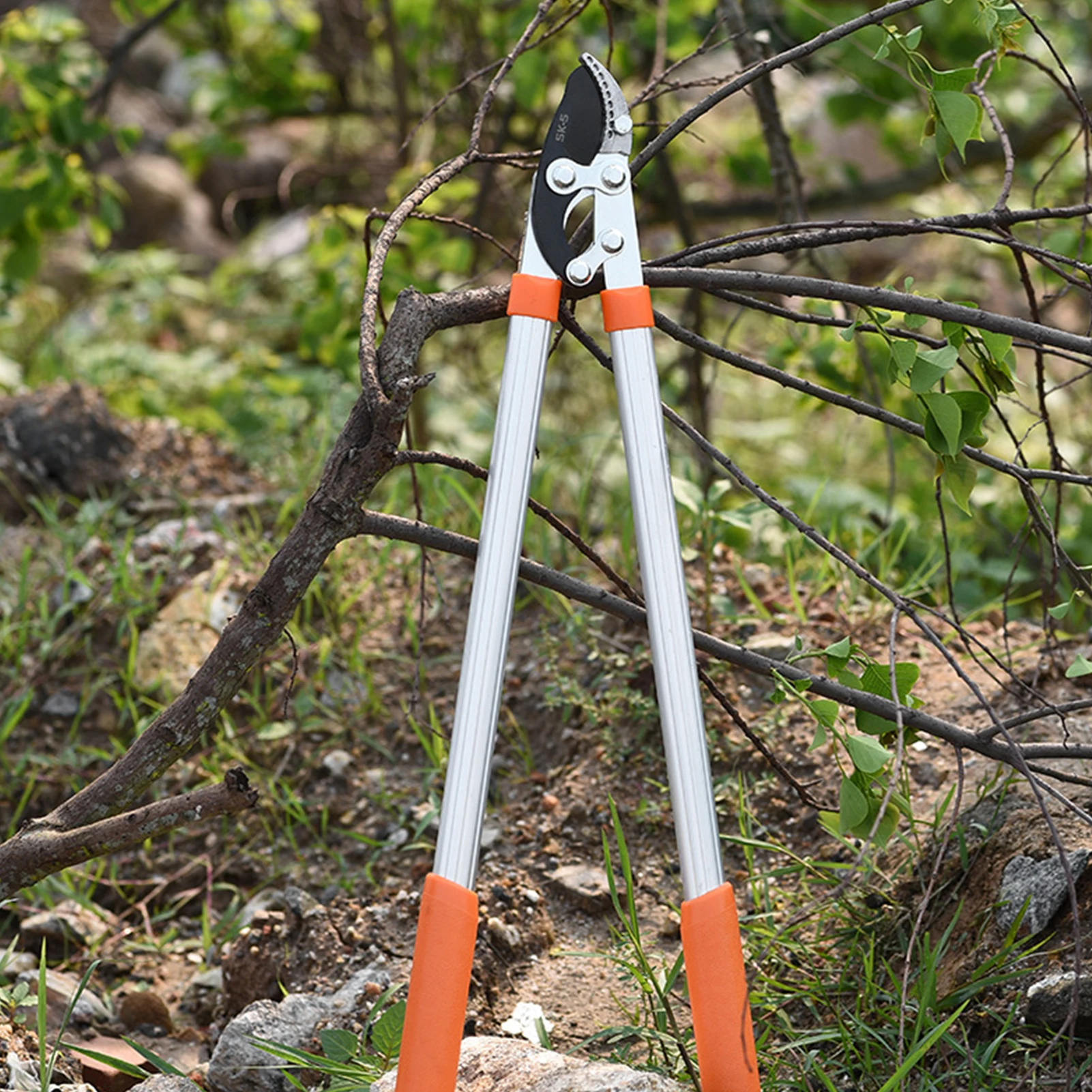 Loppers-Sharp-Anvil-Lopper-Professional-Gardening-Pruning-Lopper-Ratchet-Loppers-Secateurs ...