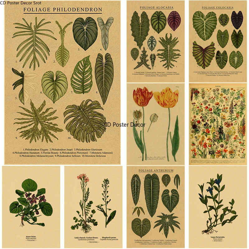 Botanical Illustration Poster Plant Leaf Flower Kraft Paper Posters ...