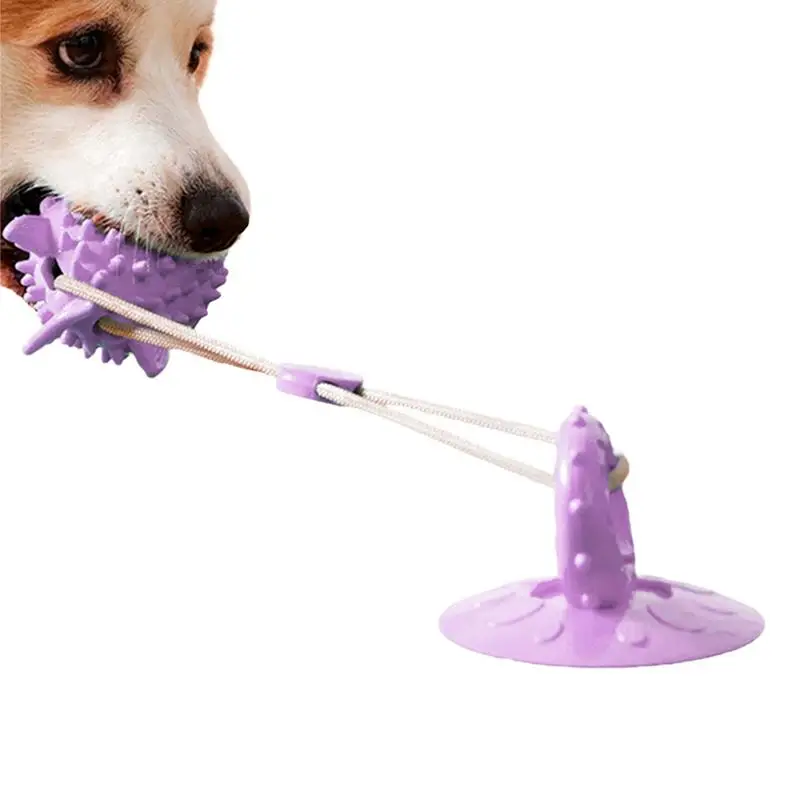 Suction-Cup-Dog-Toy-Creative-Dog-Chew-Dispenser-Toy-Dog-Chewable-Toy ...