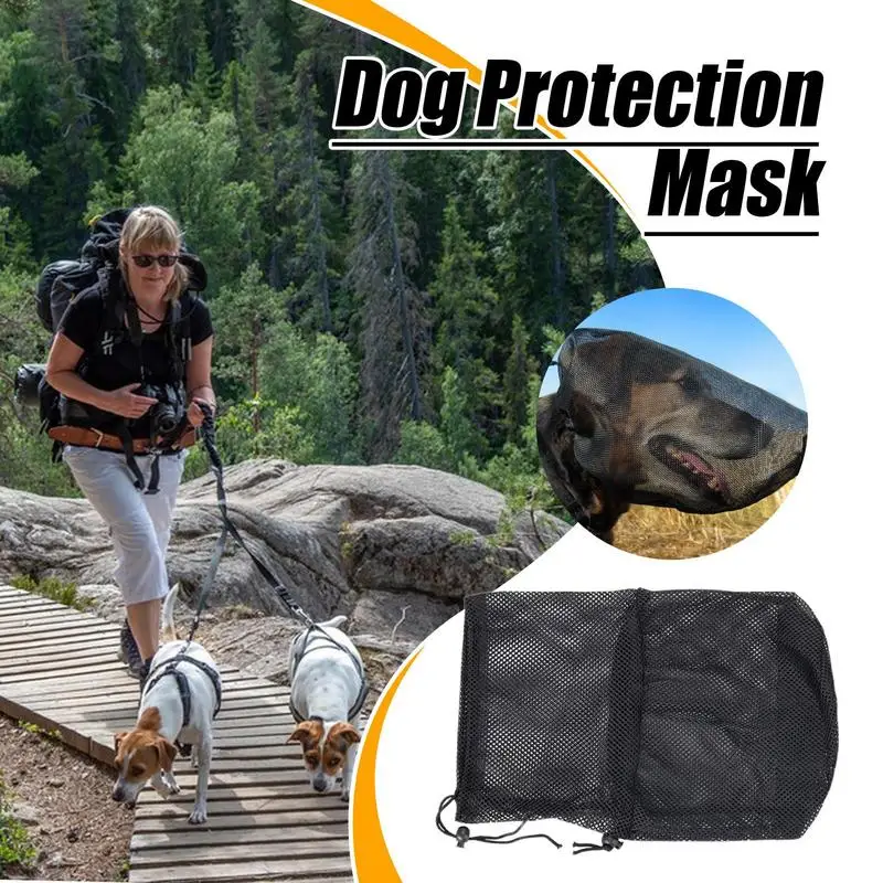 Dog Head Size Chart: How to Choose the Perfect Safety Head Protector ...