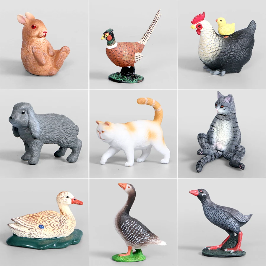 Hand Painted Realistic Farm Animals Pheasant Cockfighting Cat Lop ...