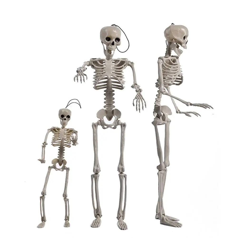 Halloween-Decoration-Prop-40-60cm-Upright-Big-Skeleton-Full-Size-Skull ...