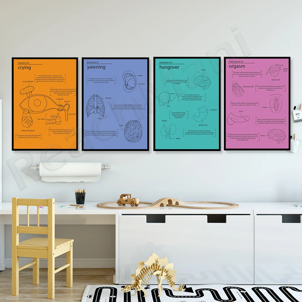 Body Anatomy - Crying Anatomy - Yawning Anatomy - Hangover Anatomy ...