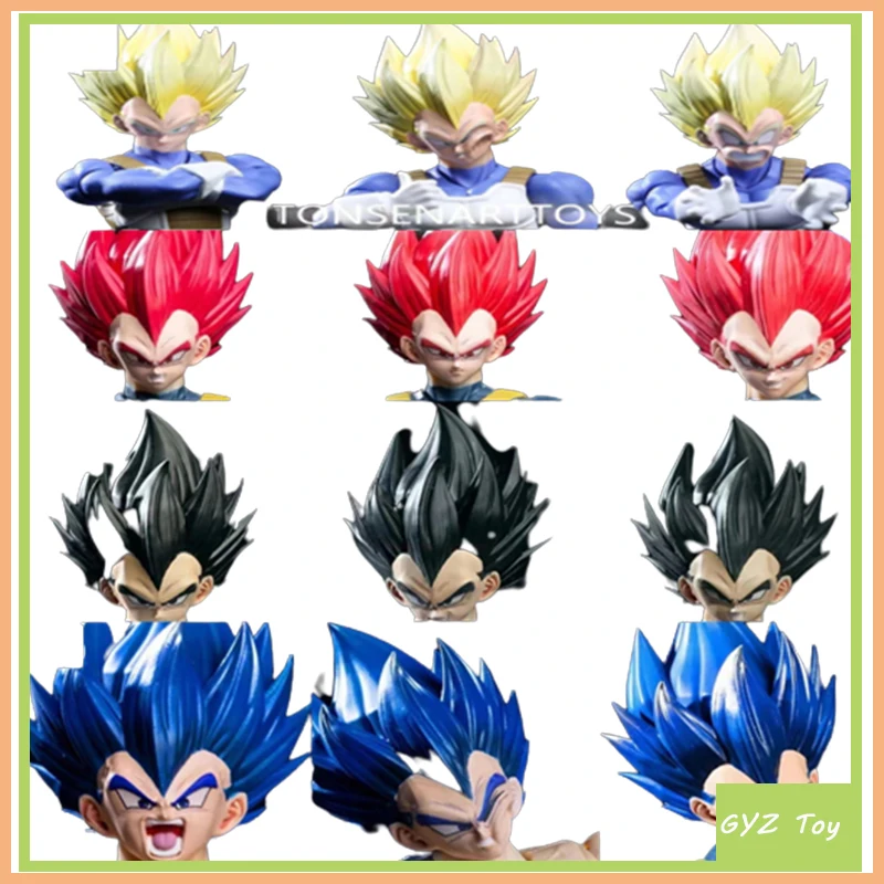 Dragon Ball Z Vegeta Head Anime Tonsenarttoys Berserker Blue Silent ...