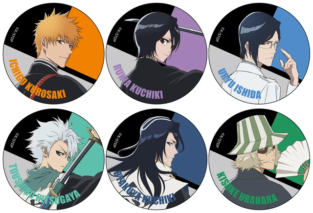 Bleach Time Skip Ichigo