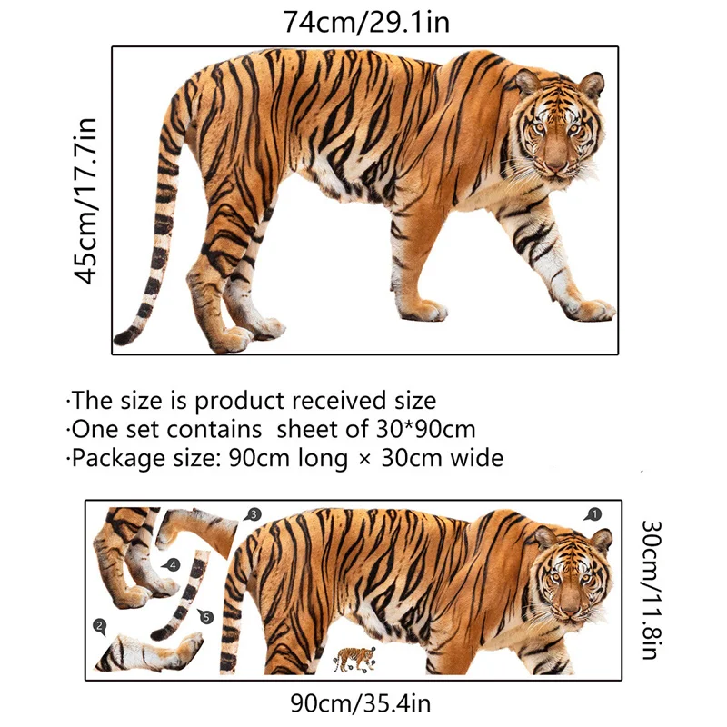 Tiger Body Parts Labeled