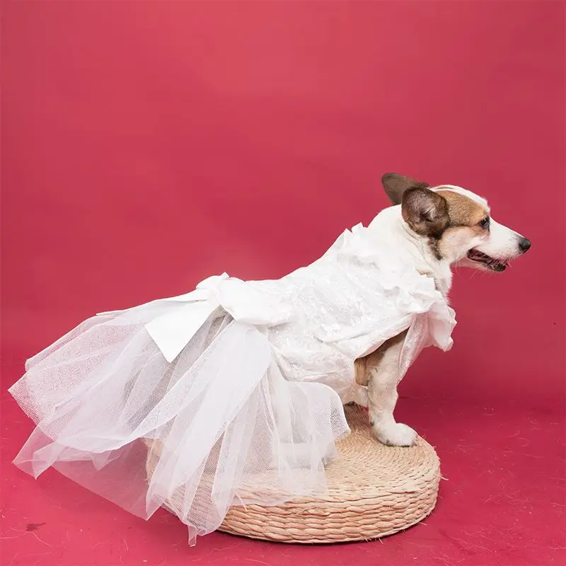 Dog-Wedding-Dresses-Medium-Large-Corgi-Shiba-Inu-Golden-Retriever ...