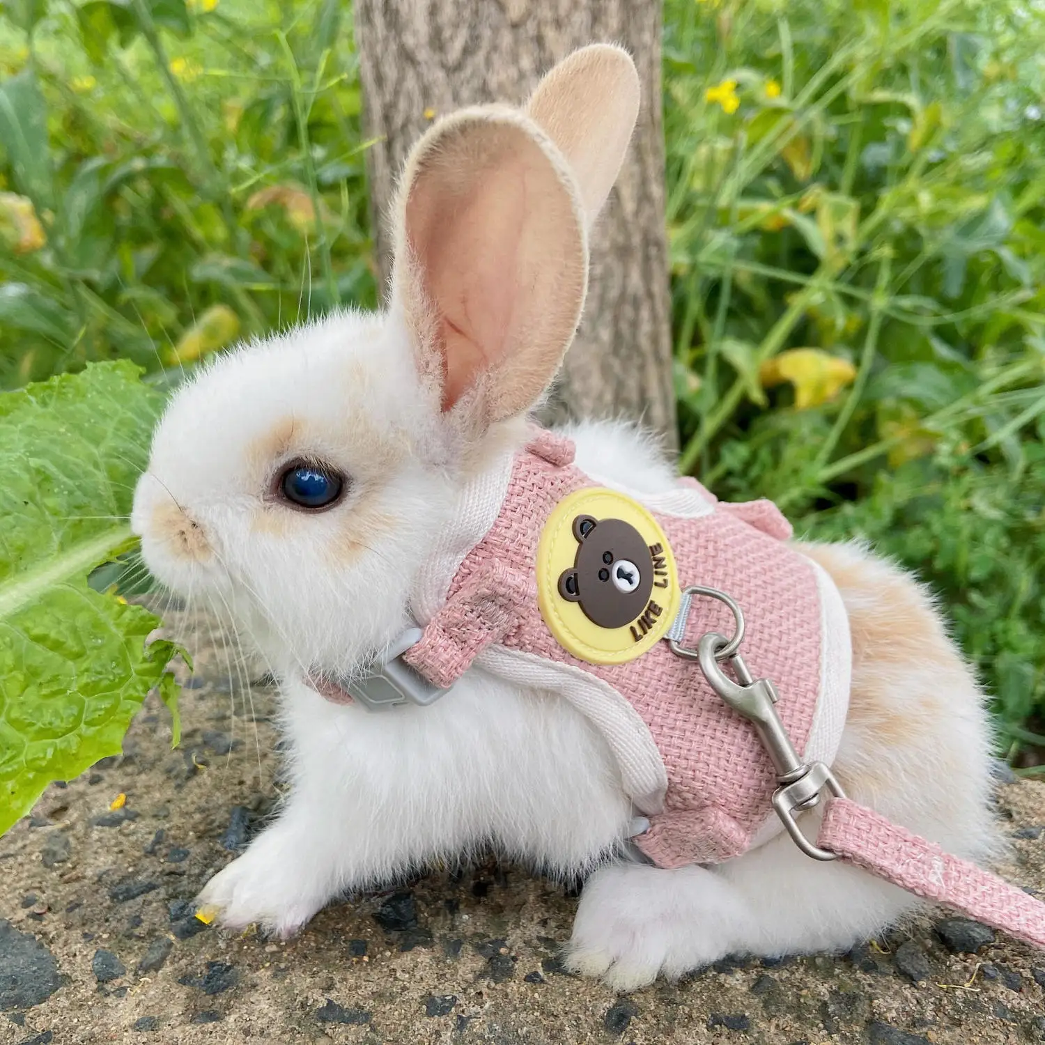 Cute-Rabbit-Harness-Leash-Set-Bunny-Soft-Padded-Dog-Vest-Small-Puppy-Carrier-Teddy-Bear-Cat.jpg
