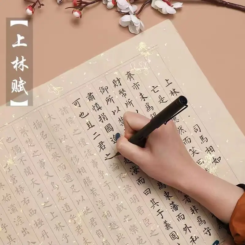 Multiple-Types-Buddhist-Scriptures-Calligraphy-Copybook-Ouyang-Xun-Small-Regular-Script-Heart ...