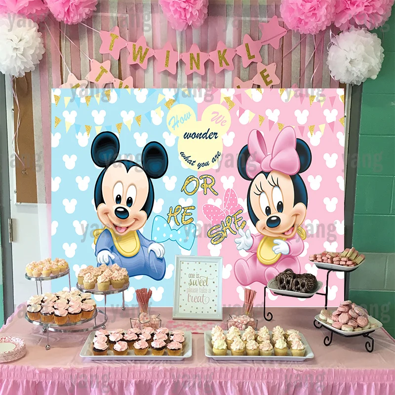 Baby Mickey And Minnie Mouse Baby Shower Decorations