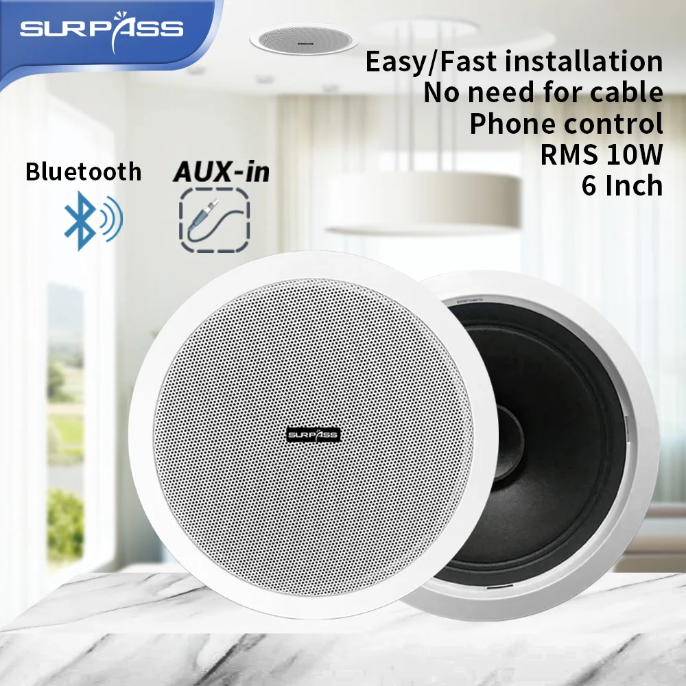 Altavoz de techo con Bluetooth, amplificador Digital incorporado ...