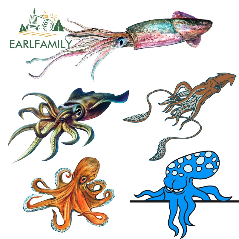 EARLFAMILY-Cartoon-Car-Sticker-Squid-Sticker-Decal-Wildlife-Outdoors ...