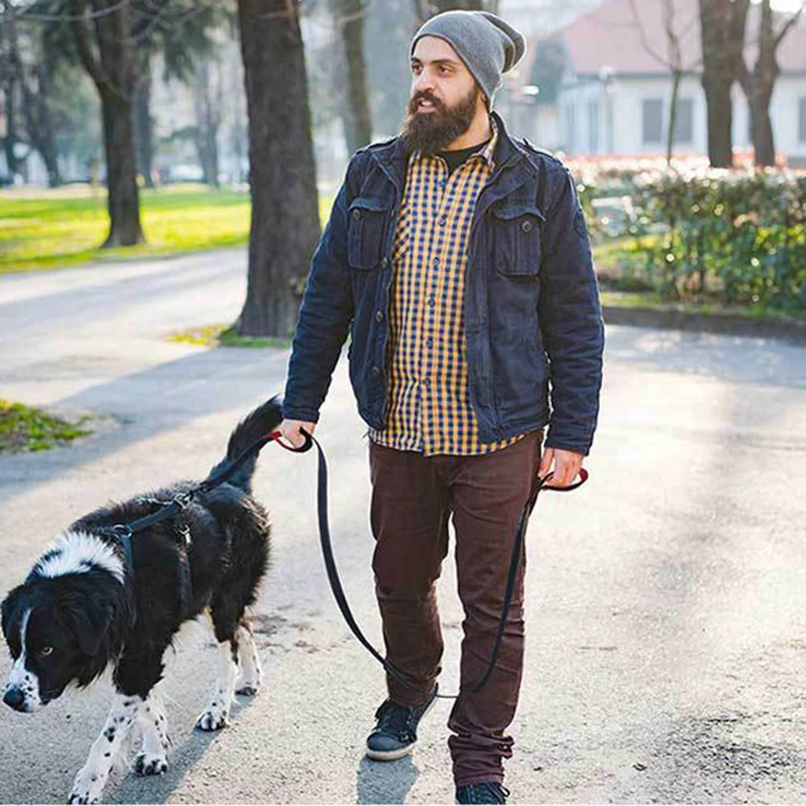 3Pcs-set-pet-rope-night-reflective-traction-belt-short-traction-plus ...