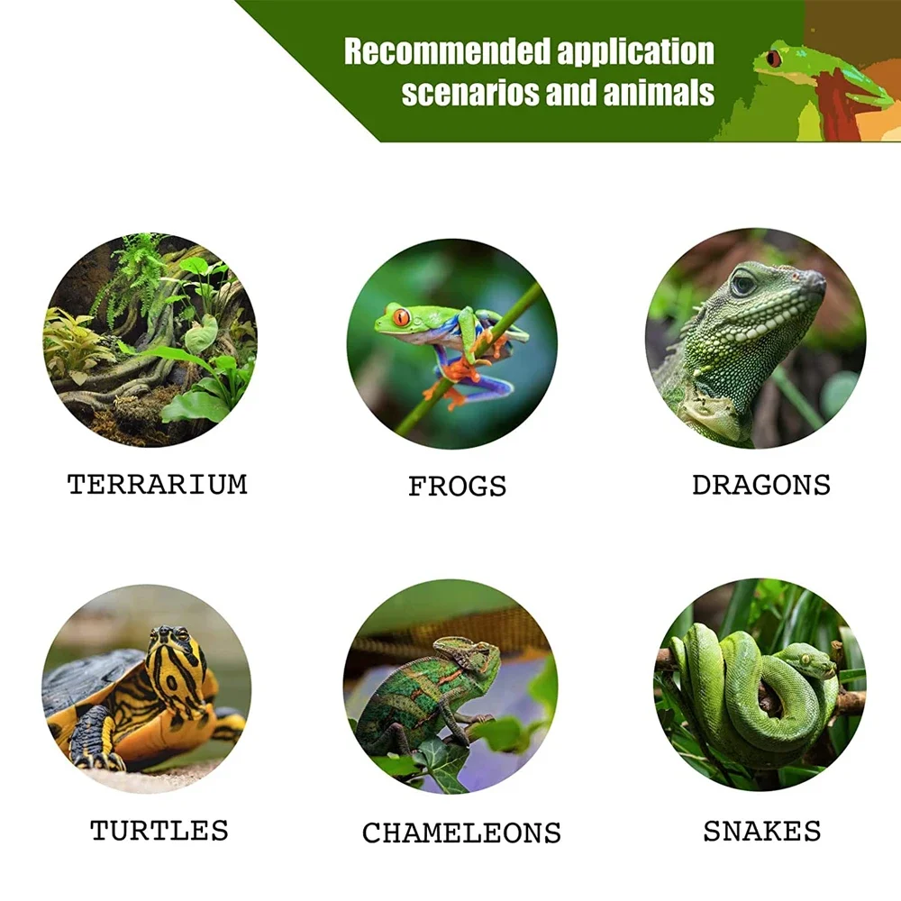 Reptiles Pictures With Names