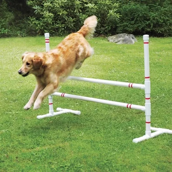 Wholesale-Dog-Agility-Course-Training-Equipment-Obstacle-Agility ...