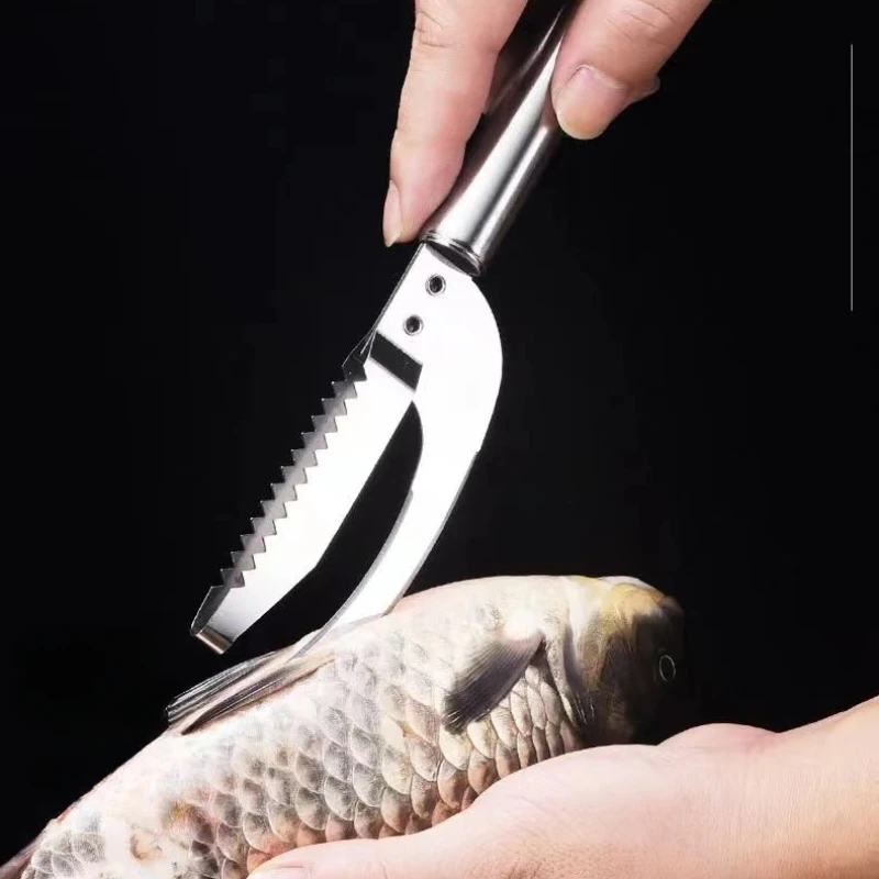 3-in-1-Fish-Scale-Scraper-Fishing-Knife-Brush-Grater-Seafood-Tool-Fast ...