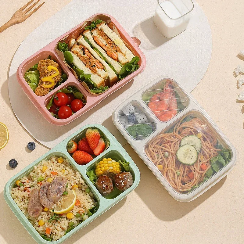 Lunch-Box-Reusable-3-Compartment-Divided-Bento-Box-Kid-School-Adult ...