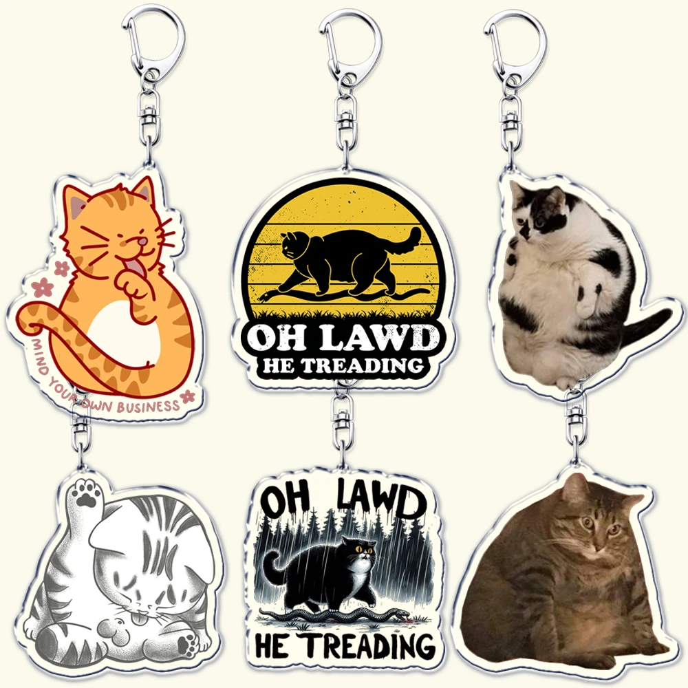 Fun-Oh-Lawd-He-Treading-Keychains-for-Accessories-Bag-Funny-Black-Cat-Meme-Animal-Pendant ...