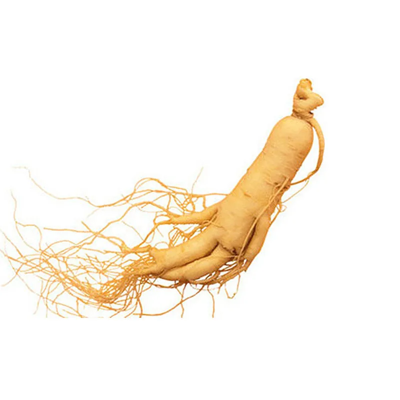 Panax Ginseng Powder Organic 100% Natural Wild Ginseng Powder Bulk Pure ...