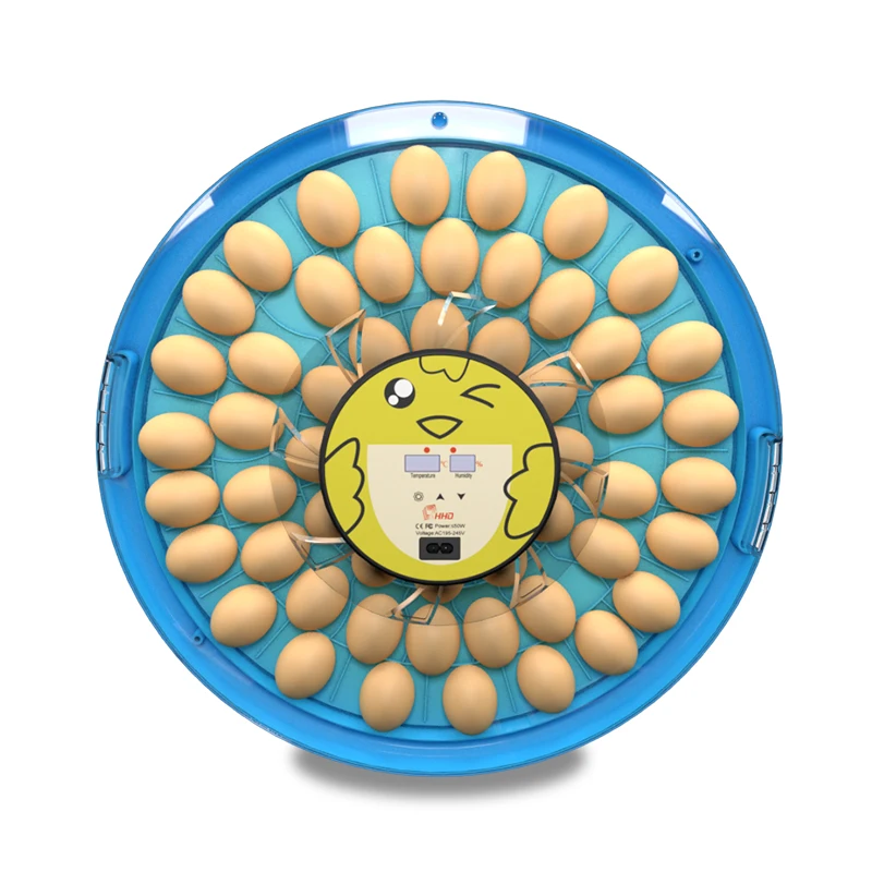 HHD-Poultry-Large-Digital-Transparent-Round-Egg-Incubator-52-Egg ...