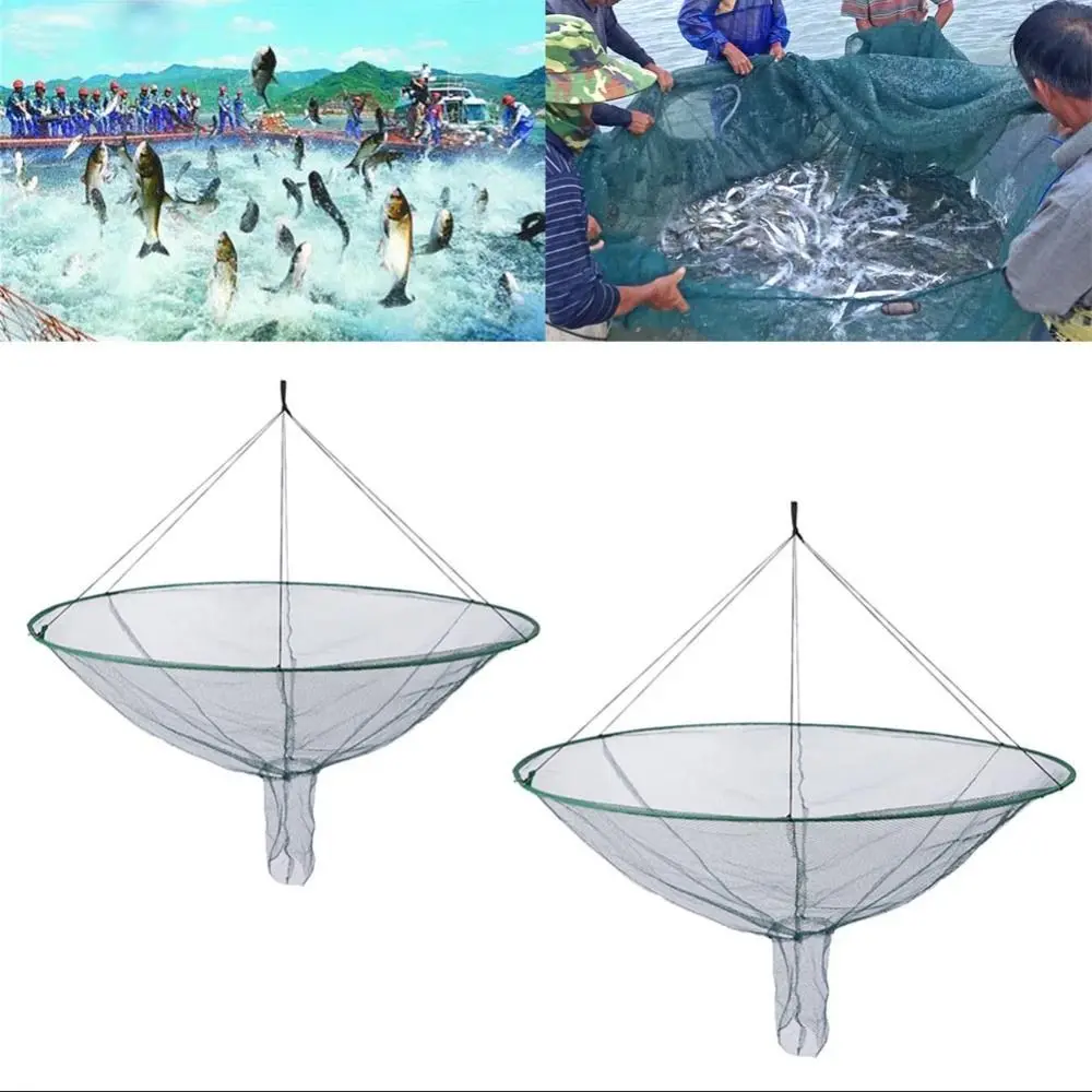 80-100-Drop-Fishing-Landing-Net-Crayfish-Shrimp-Catcher-Tank-Casting ...