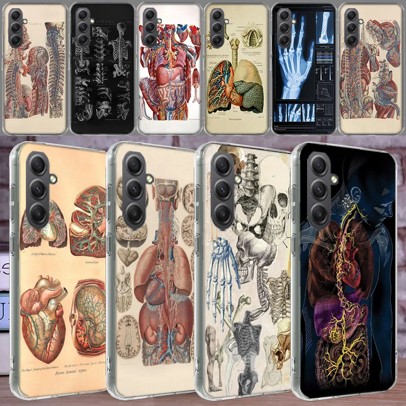 Medical-Human-Organs-Brain-Phone-For-Samsung-Galaxy-A15-A25-A35-A55-A71 ...