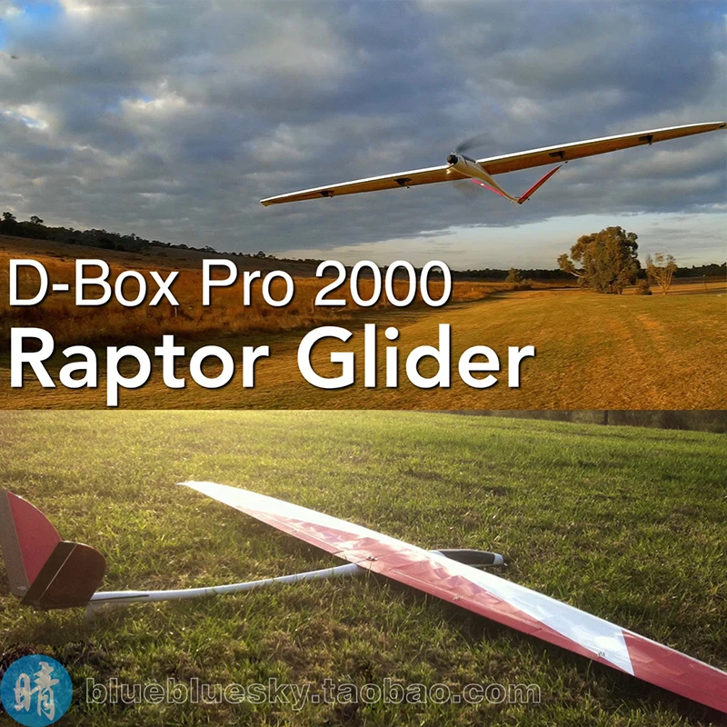 Raptor-2000-anteced-ncia-aerobatic-planador-t-rmico-com-d-box-pro-asa-2 ...